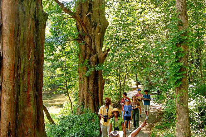 Pinnacle Mountain State Park
