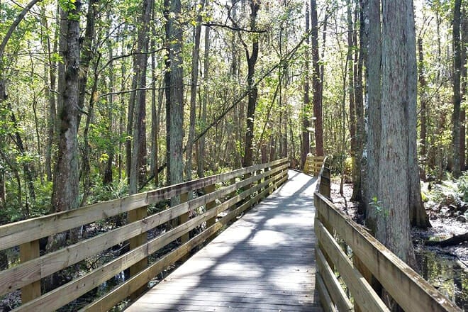 Shingle Creek Regional Park