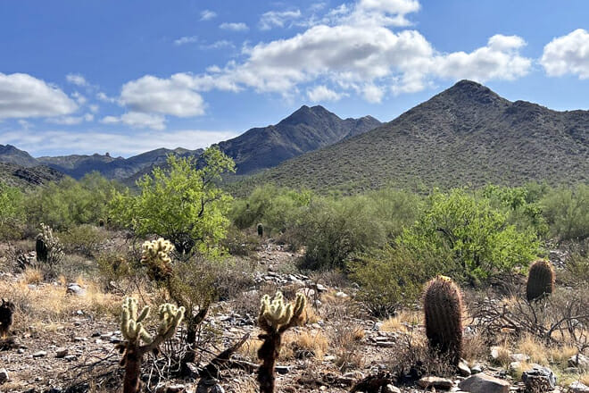 Sonoran Desert Hiking