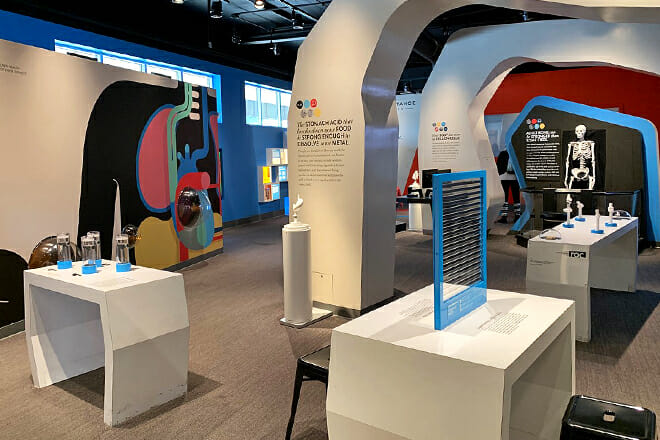 The Discovery - Terry Lee Wells Nevada Discovery Museum