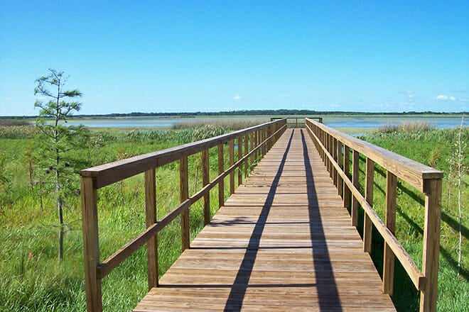 Twin Oaks Conservation