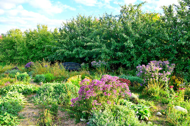 Alice’s Garden Urban Farm