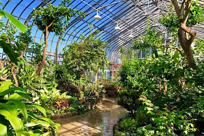 Anna Scripps Whitcomb Conservatory