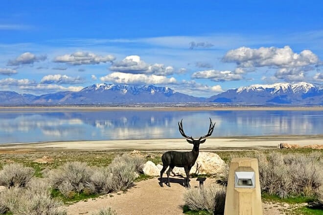 Antelope Island State Park