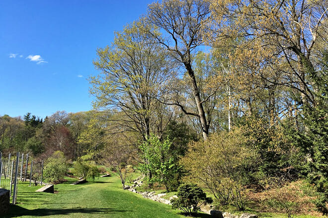 Arnold Arboretum