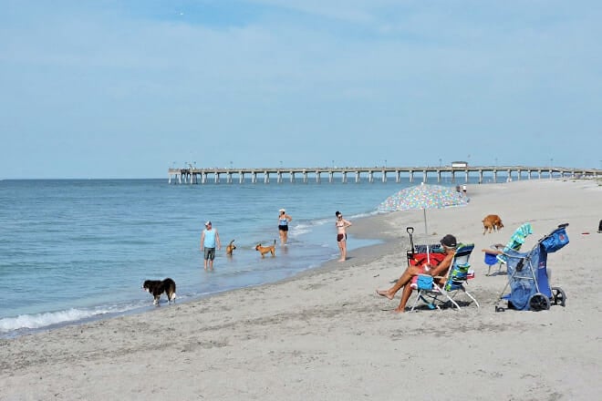 Bring Fido to Brohard Beach and Paw Park