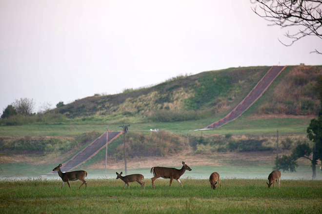 Cahokia Mounds State Historic Site