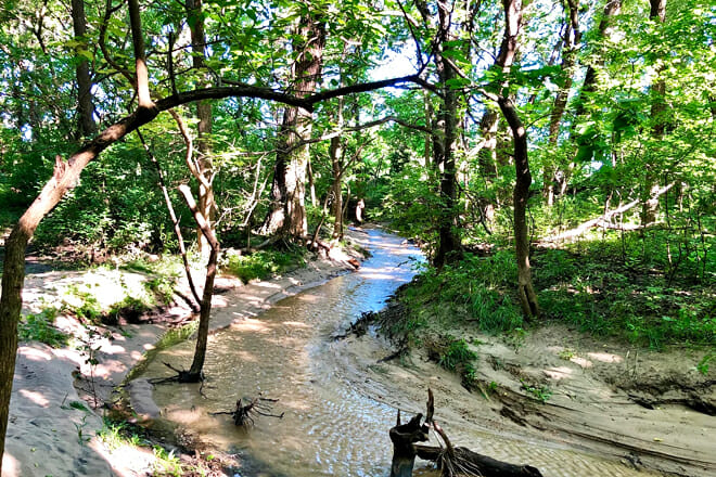 Cheney State Park