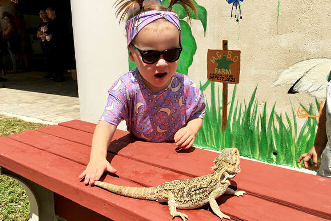 Children's Animal Park (Petting Zoo)