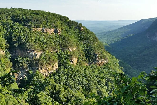 Cloudland Canyon