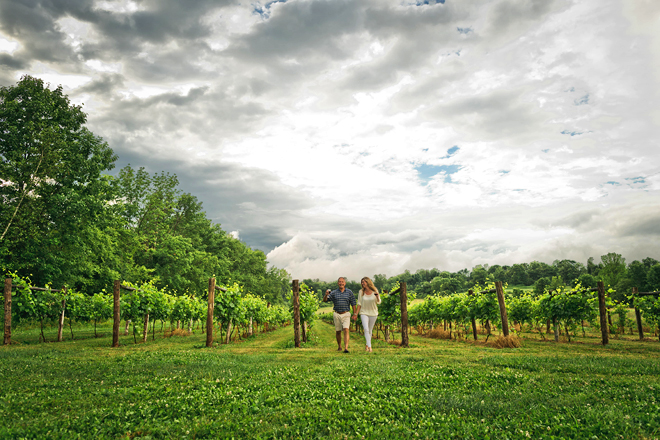 Connecticut Wine Trail, West Hartford