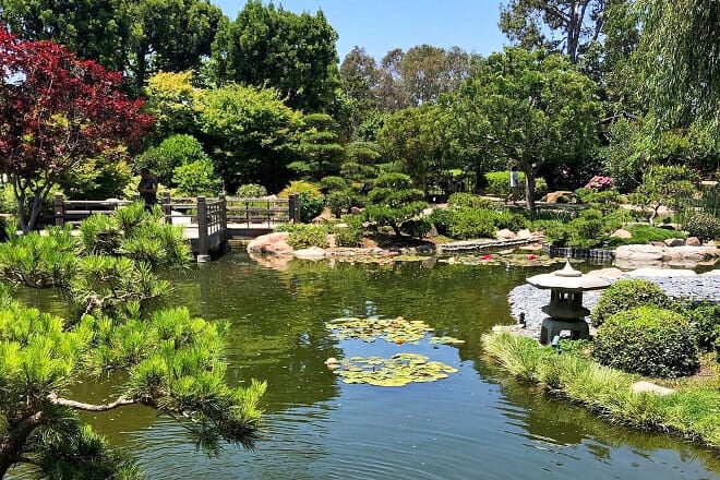 Earl Burns Miller Japanese Garden