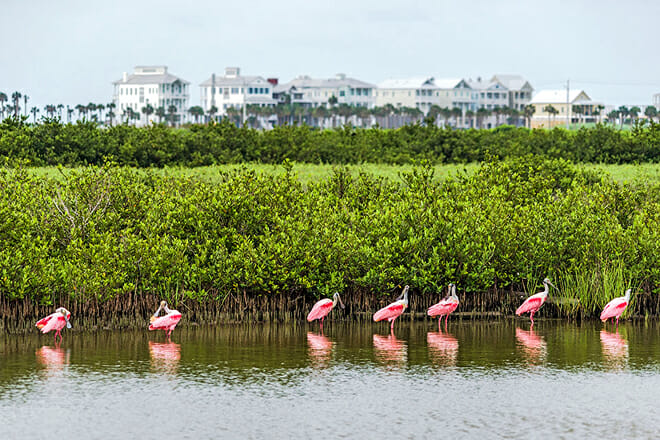 East End Lagoon Nature Preserve