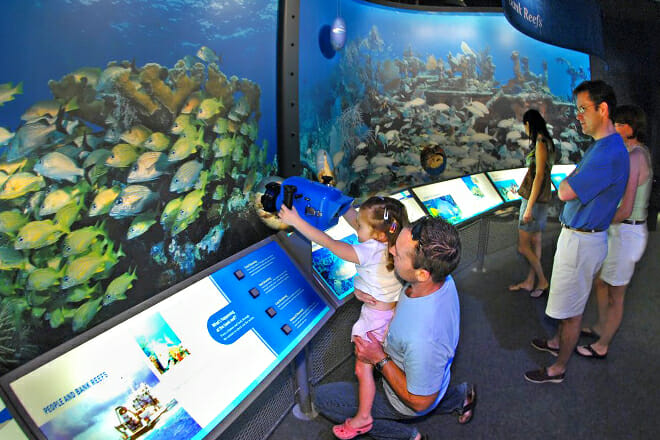 Eco-Discovery Center