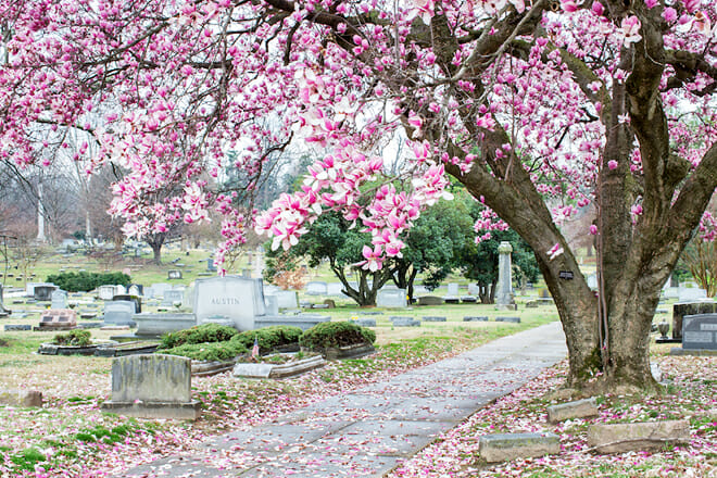 Elmwood Cemetery