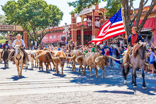 Fort Worth Herd