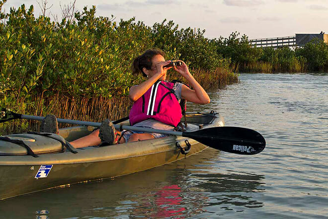 Great Texas Coastal Birding Trail