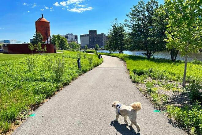 Hank Aaron State Trail