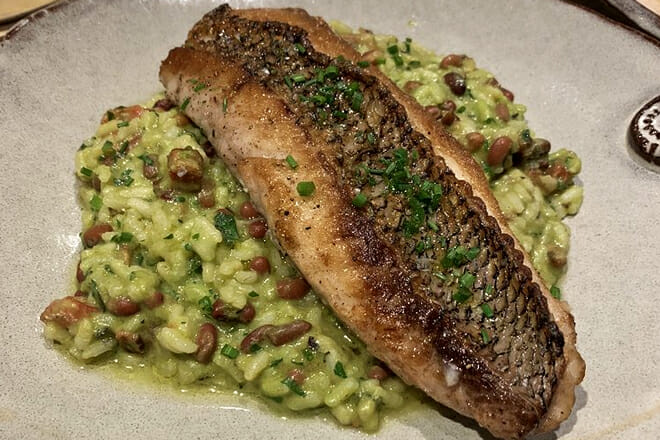 Hot and Hot Fish Club