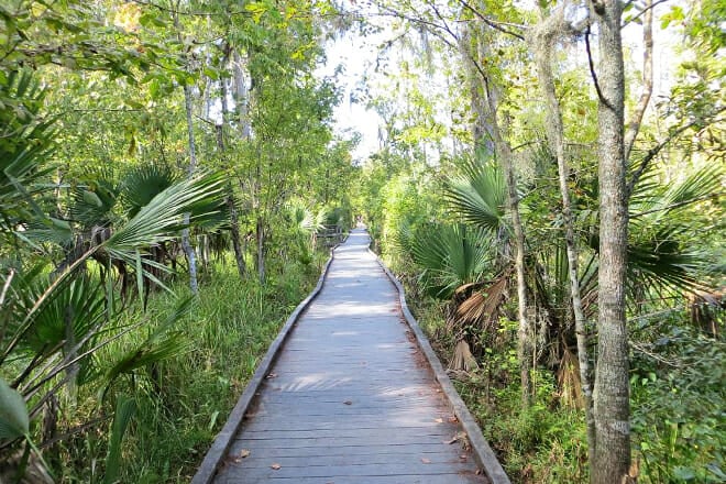 Jean Lafitte National Historical Park