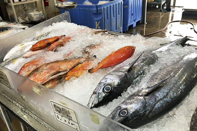 Katie's Seafood Market