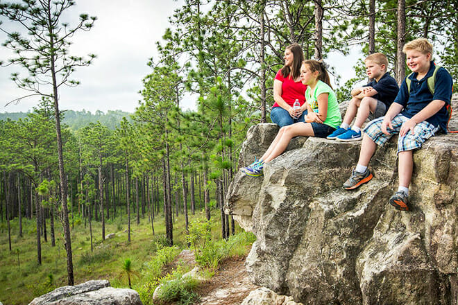 Kisatchie National Forest