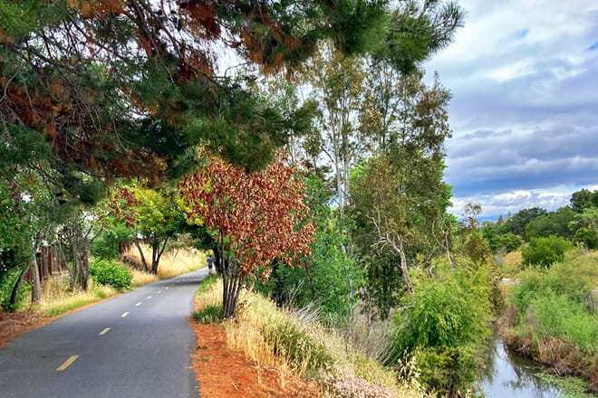 Los Gatos Creek Trail