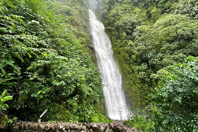 Manoa Falls