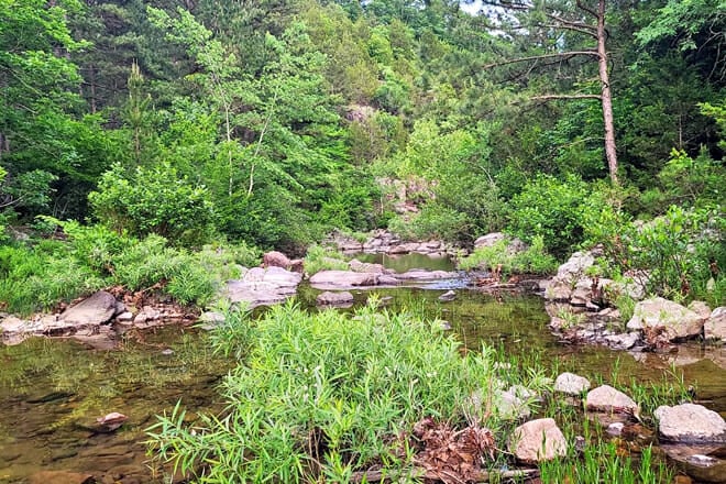 Mark Twain National Forest, Rolla