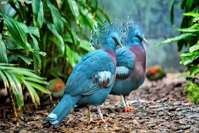 Milwaukee County Zoo