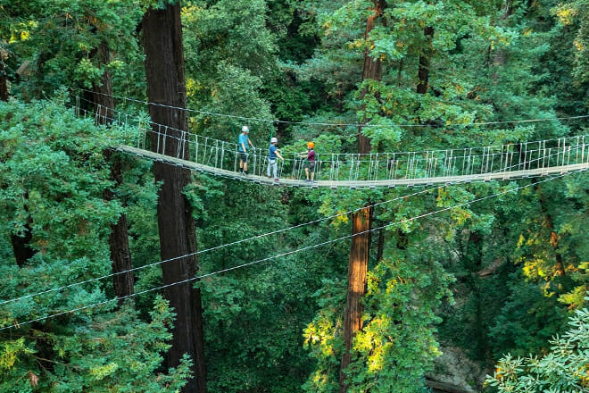 Mount Hermon Adventures