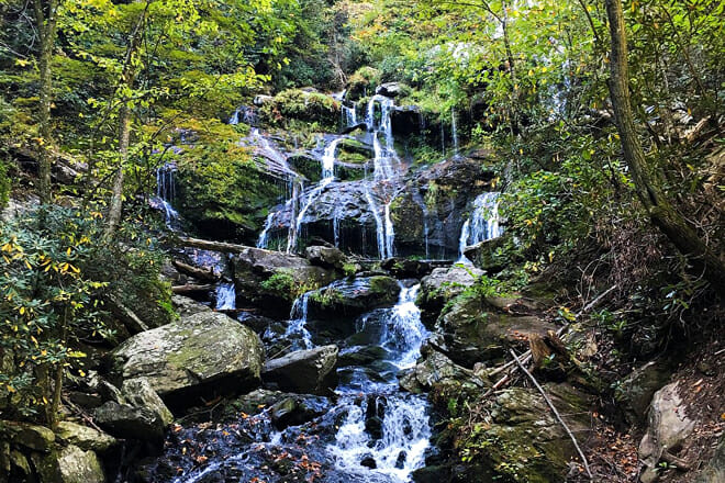 Pisgah National Forest