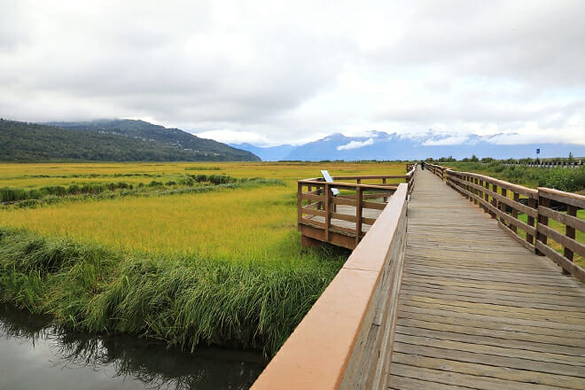 Potter Marsh Bird Sanctuary