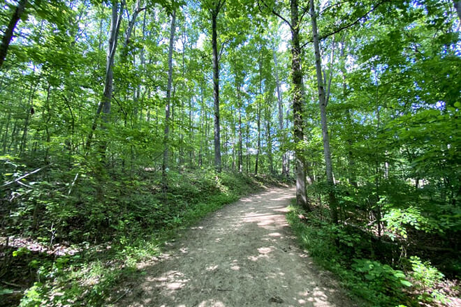 Reedy Creek Nature Center and Preserve
