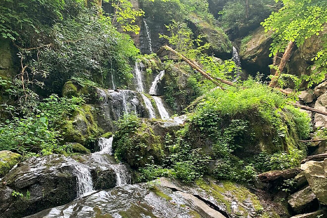 Roaring Fork Motor Nature Trail