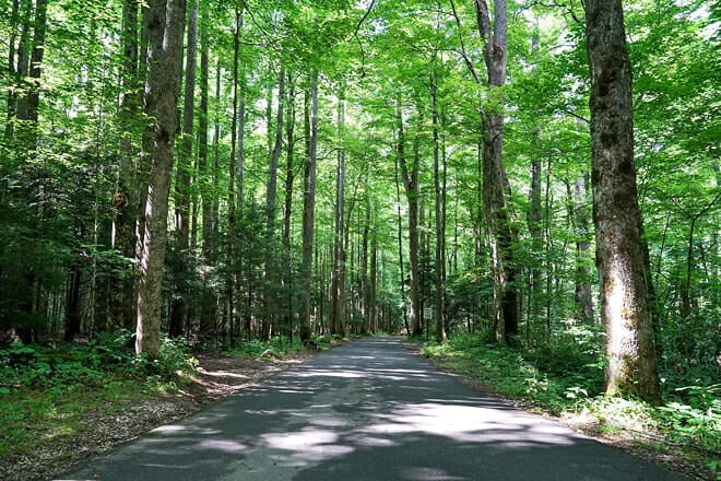 Roaring Fork Motor Nature Trail