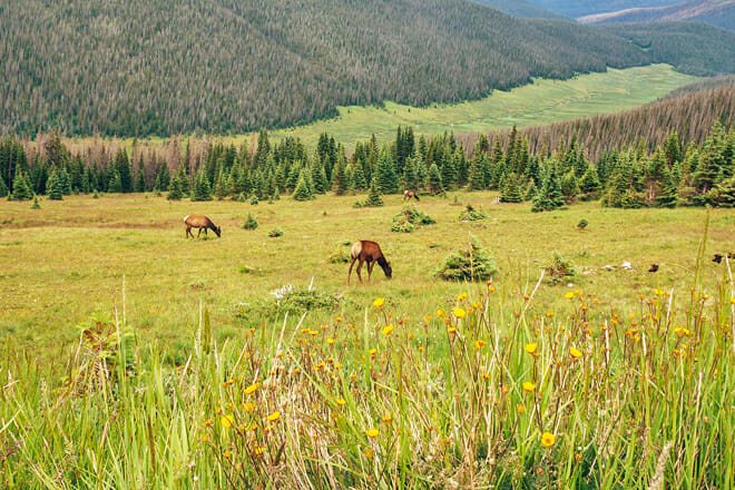 Rocky Mountain National Park