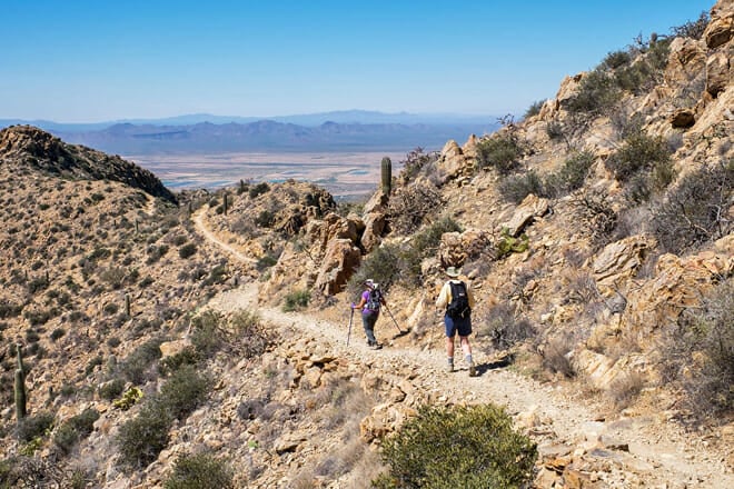 Saguaro National Park