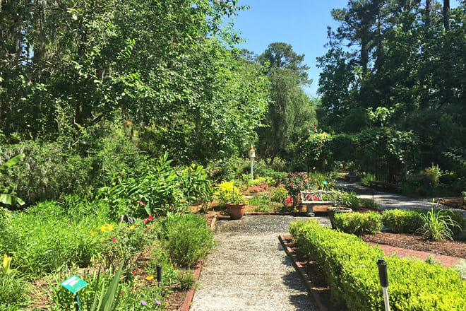 Savannah Botanical Gardens