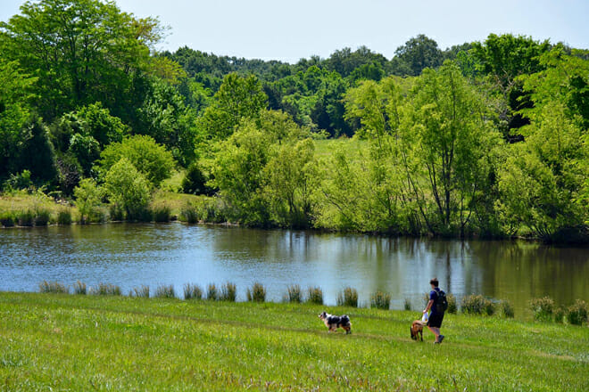 Shelby Farms Park