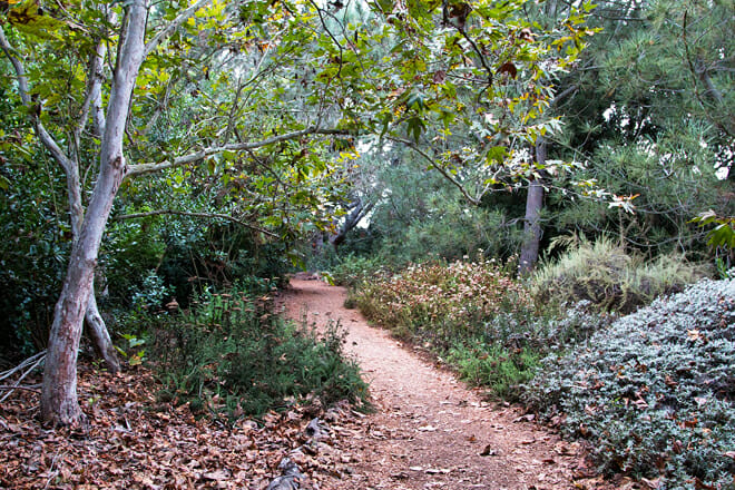 Shipley Nature Center