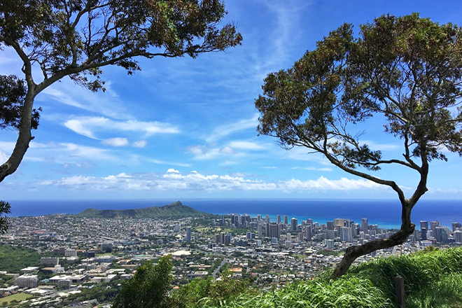 Tantalus Lookout Puu Ualakaa State Park