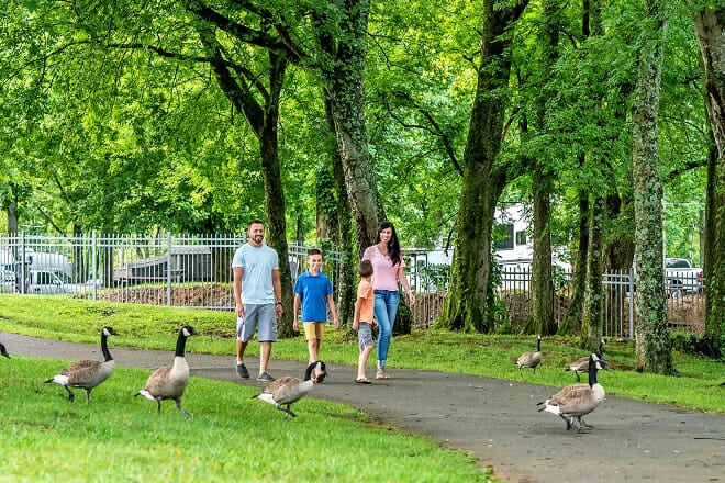 The Little Pigeon River Riverwalk Trail