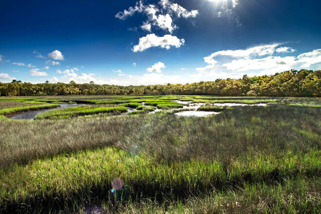 Timucuan Ecological & Historical Preserve