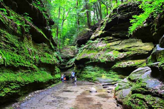 Turkey Run State Park