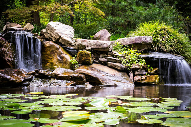 UNC Charlotte Botanical Gardens
