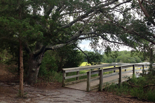 Vereen Memorial Gardens