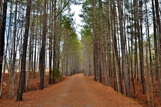 American Tobacco Trail