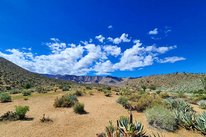 Anza-Borrego Desert State Park