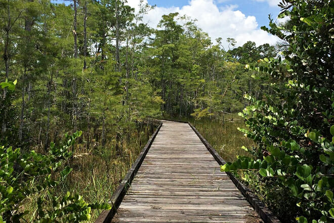 apoxee wilderness trail